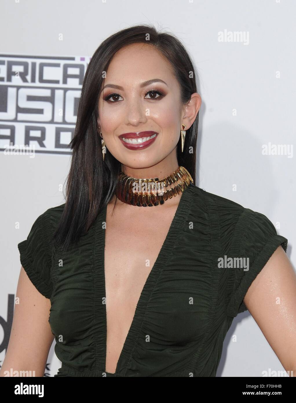 Cheryl burke 2015 american music awards hi-res stock photography and ...
