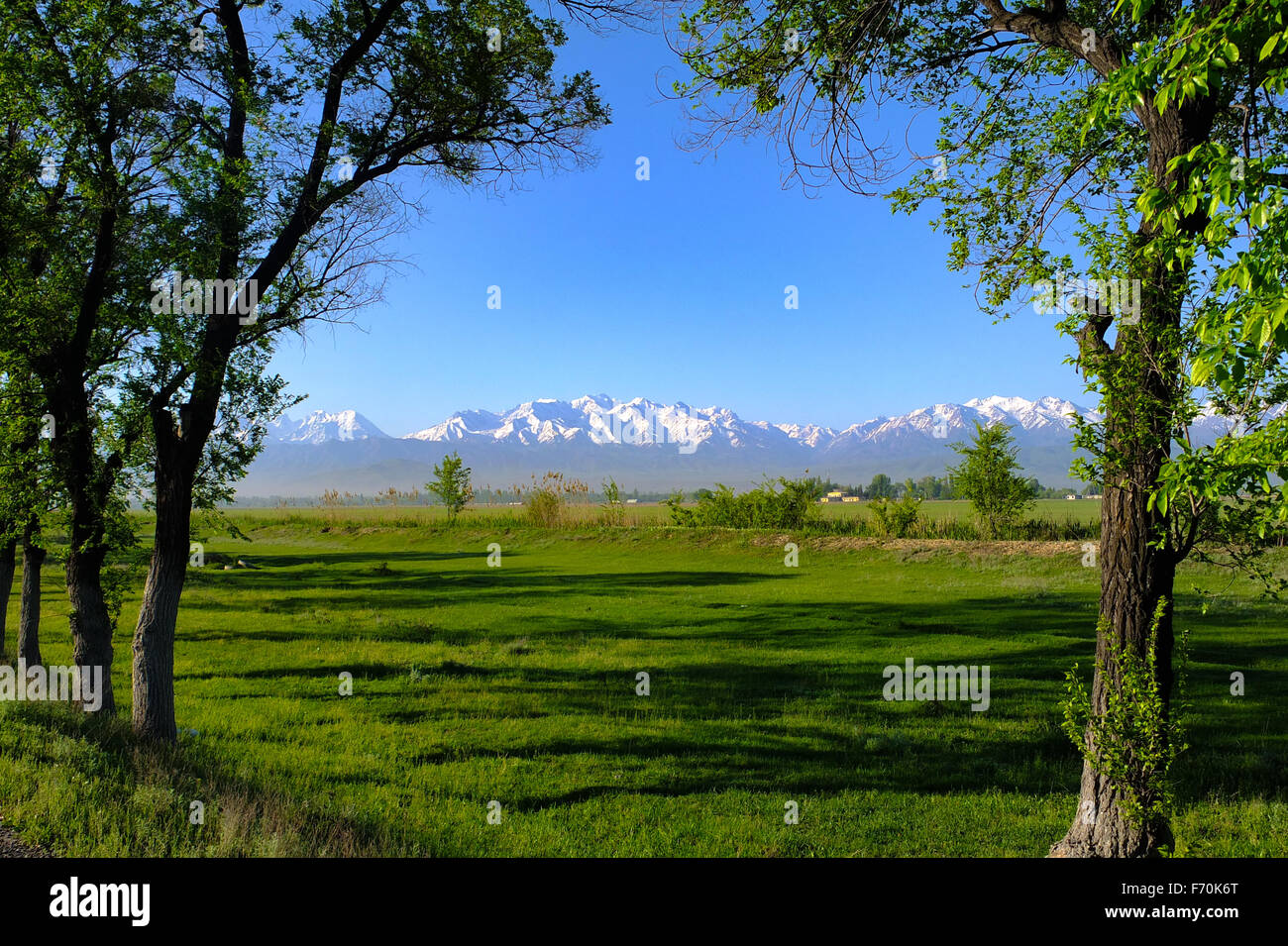 Tian shan mountains hi-res stock photography and images - Alamy