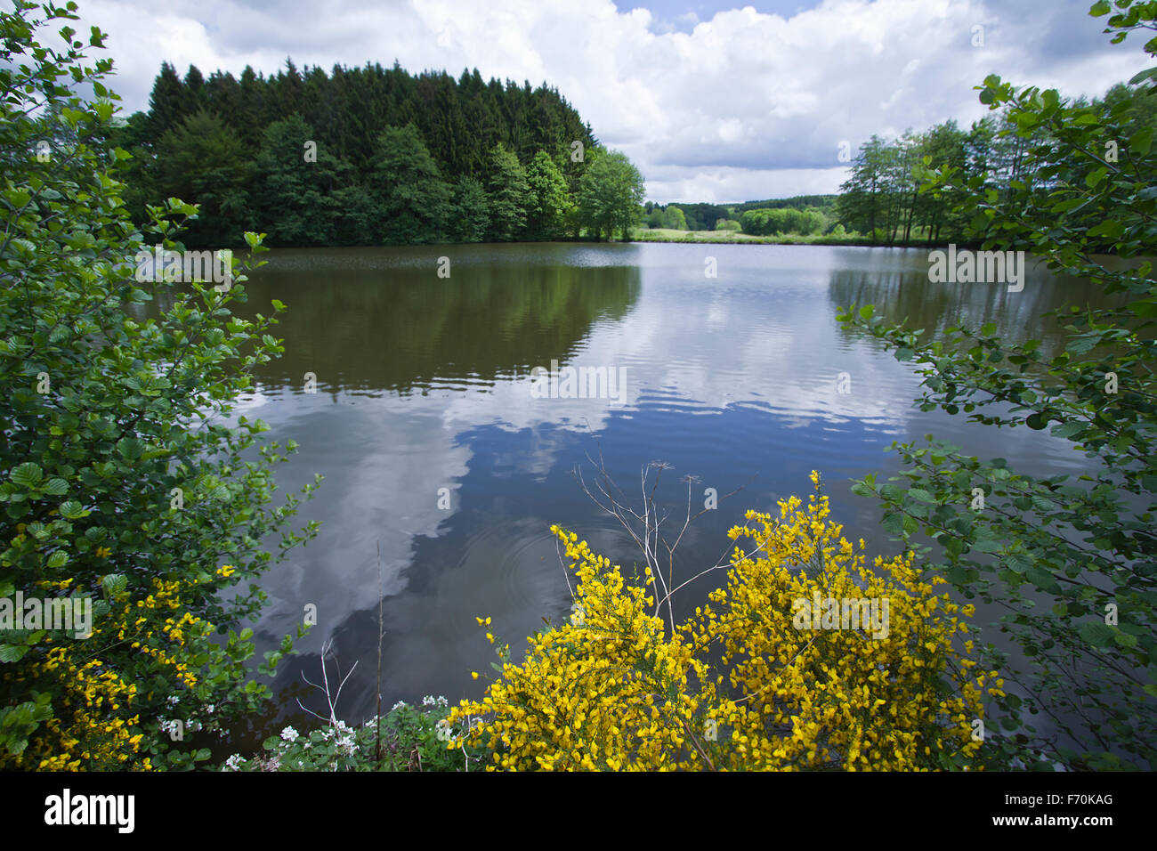 Les etangs hi-res stock photography and images - Alamy