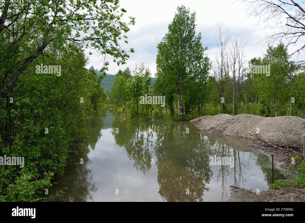 river flood in forest Stock Photo - Alamy
