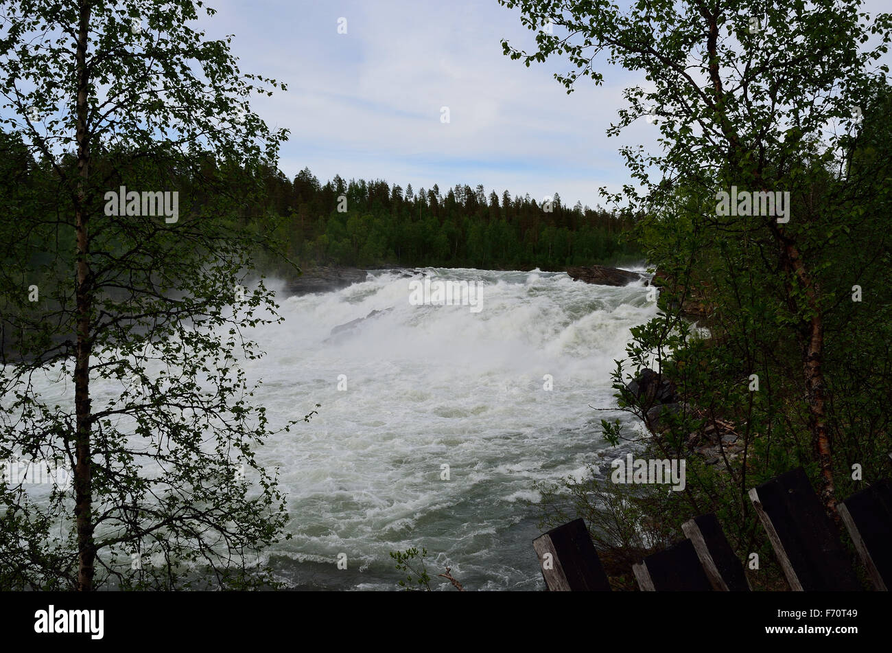 majestic flooded and violent river flow Stock Photo - Alamy