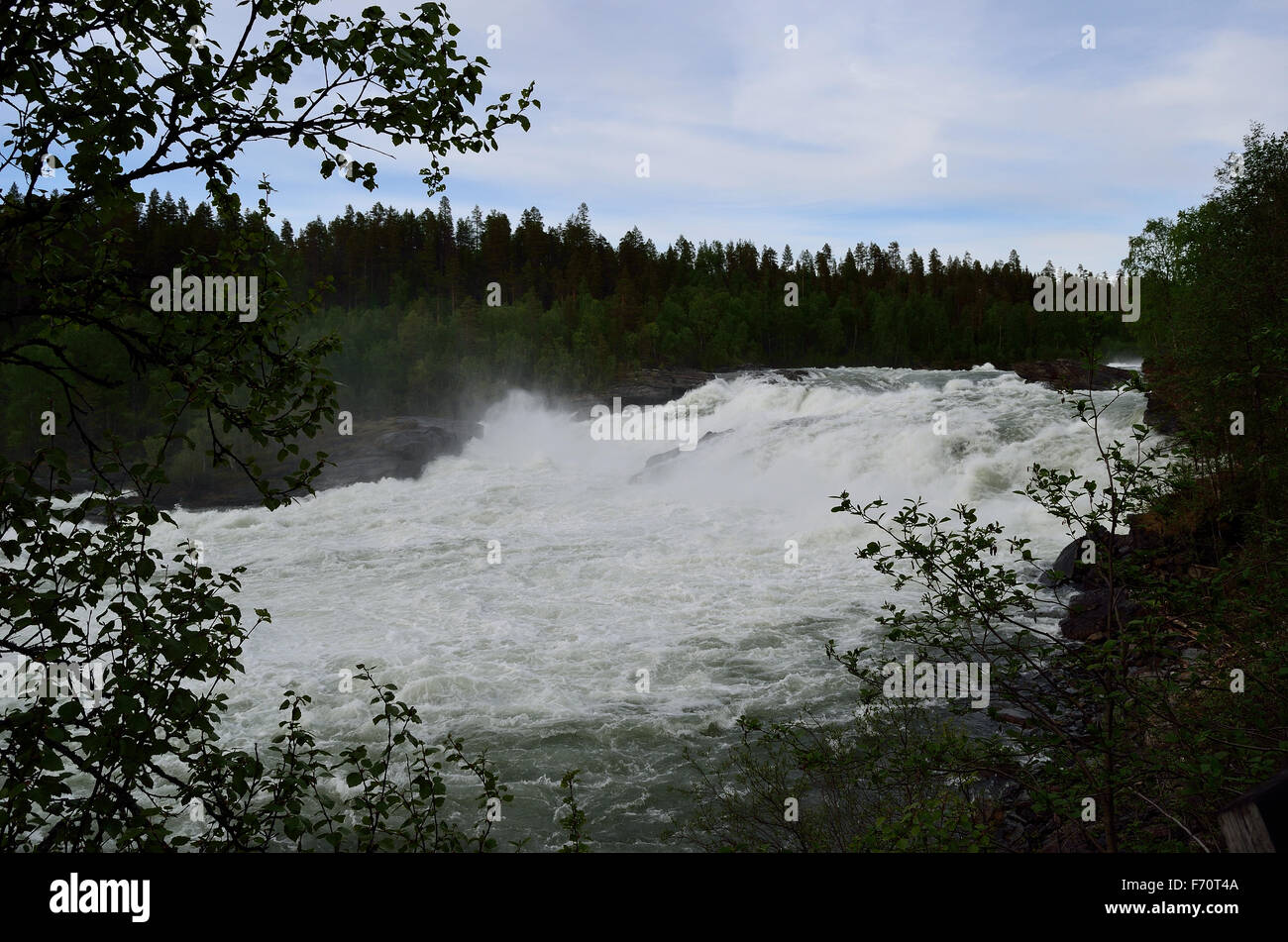 majestic flooded and violent river flow Stock Photo - Alamy
