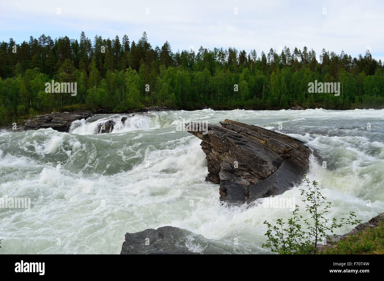 fast flowing flooded river Stock Photo - Alamy