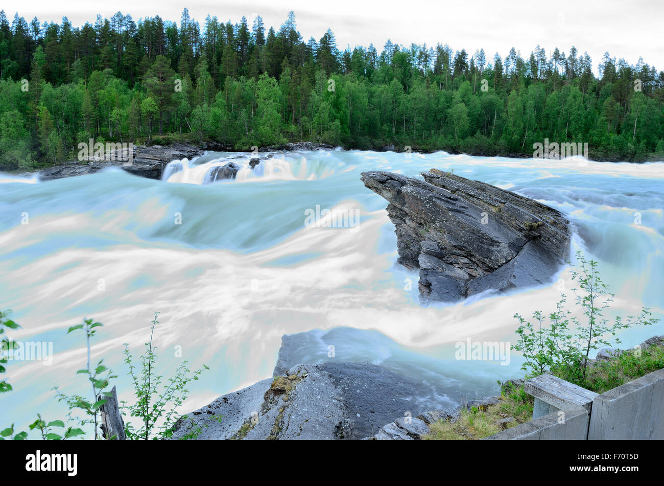 roaring fresh water river flooded Stock Photo - Alamy