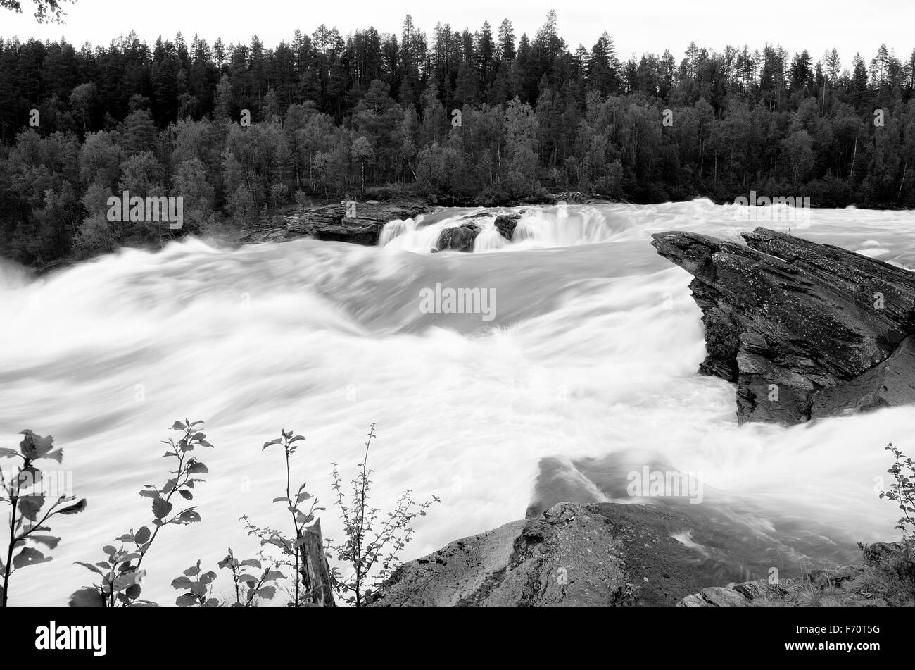 fast flowing flooded river current with violent waterfall Stock Photo ...