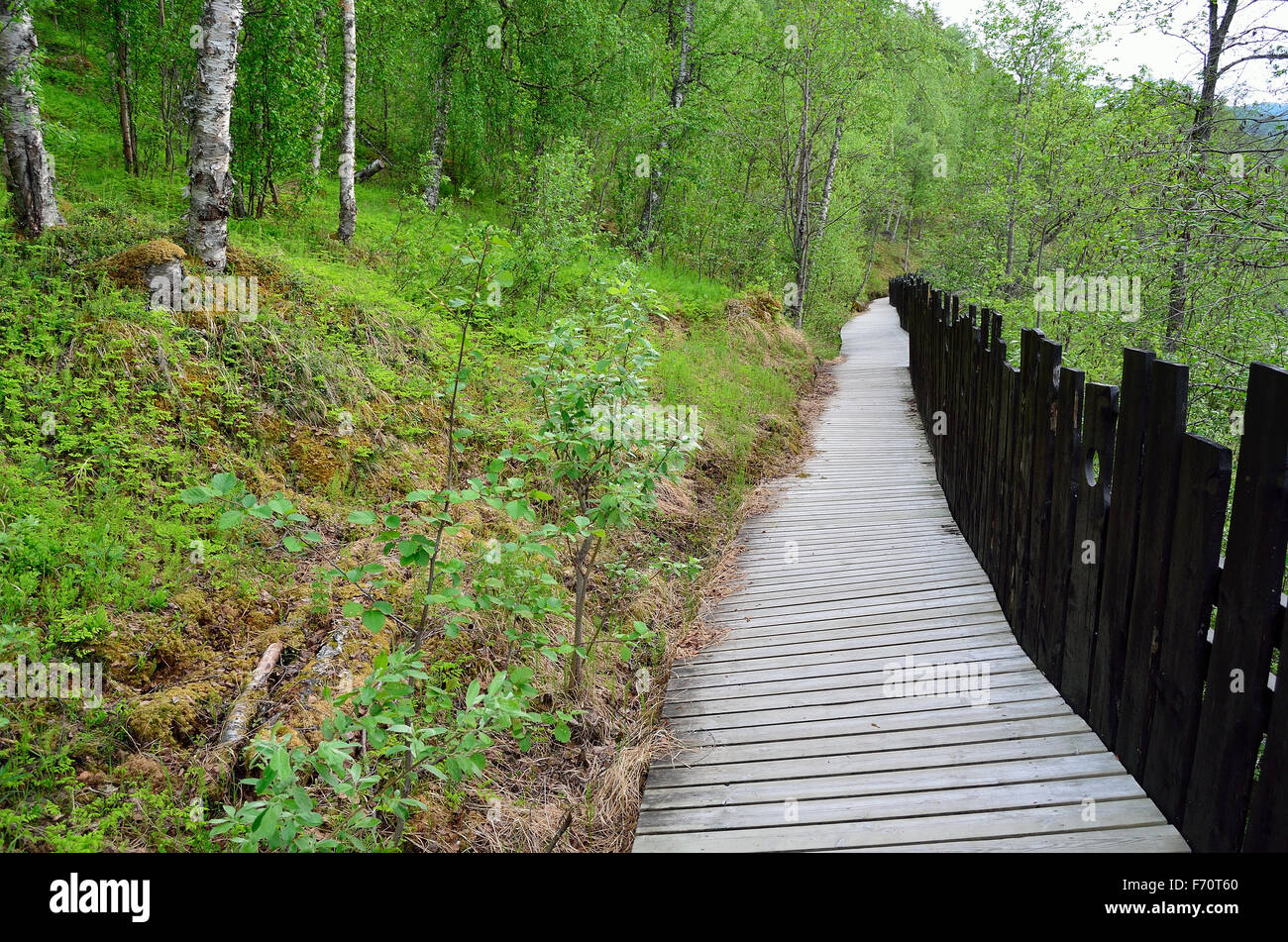Plank walk hi-res stock photography and images - Alamy