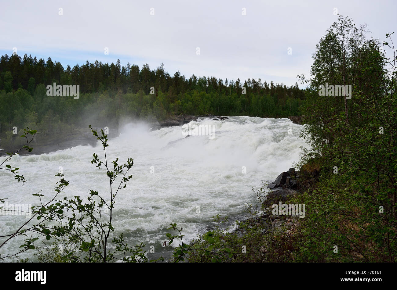roaring violent flooded river and waterfall Stock Photo - Alamy