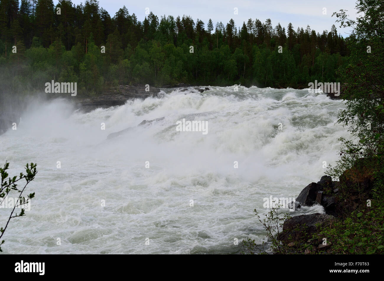 roaring violent flooded river and waterfall Stock Photo - Alamy