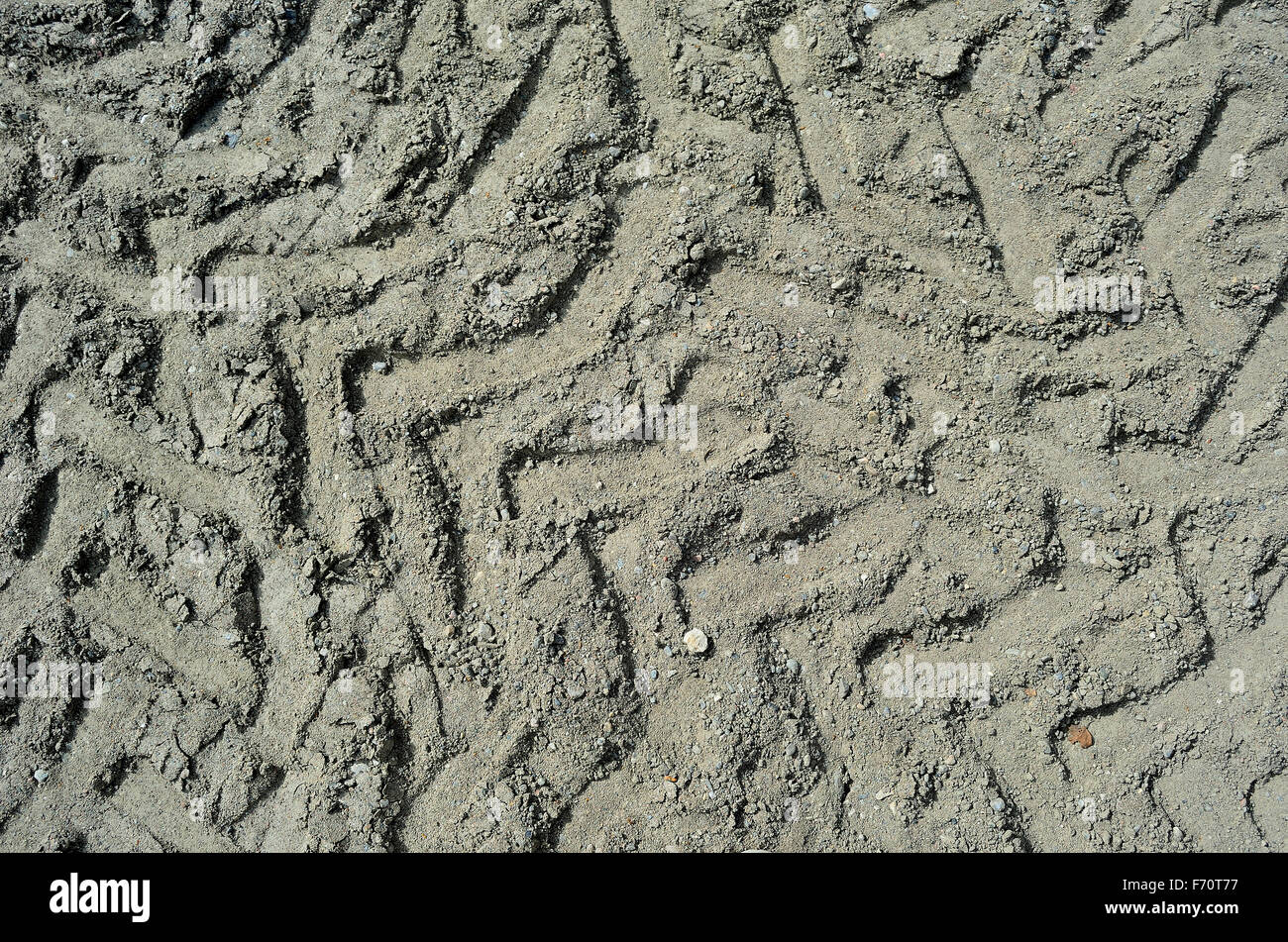 texture and tracks in grey sand Stock Photo - Alamy