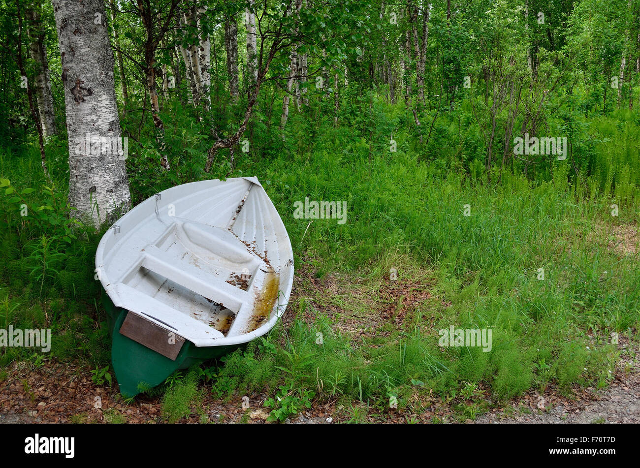 river boat in forest Stock Photo - Alamy