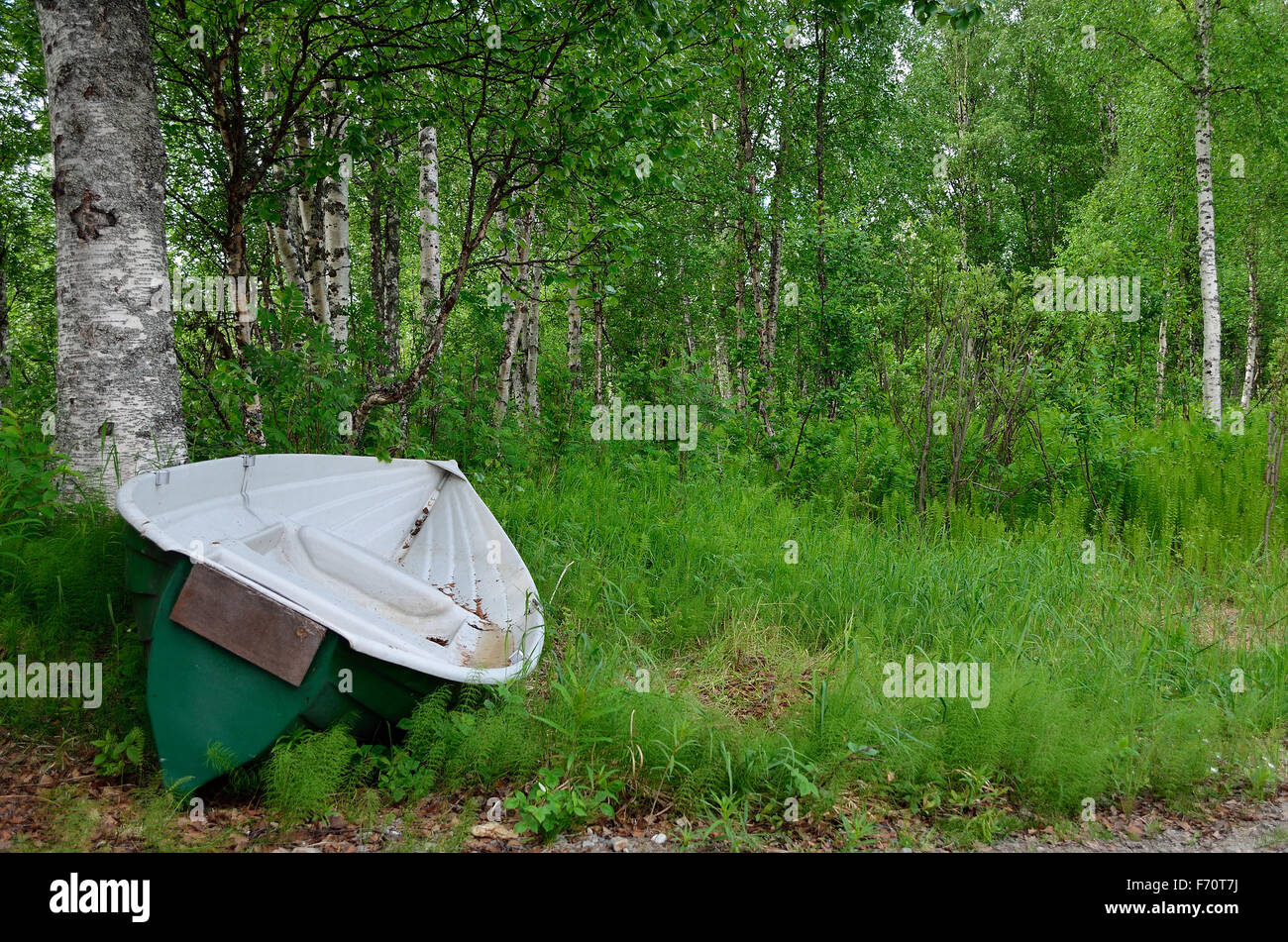 river boat in forest Stock Photo - Alamy