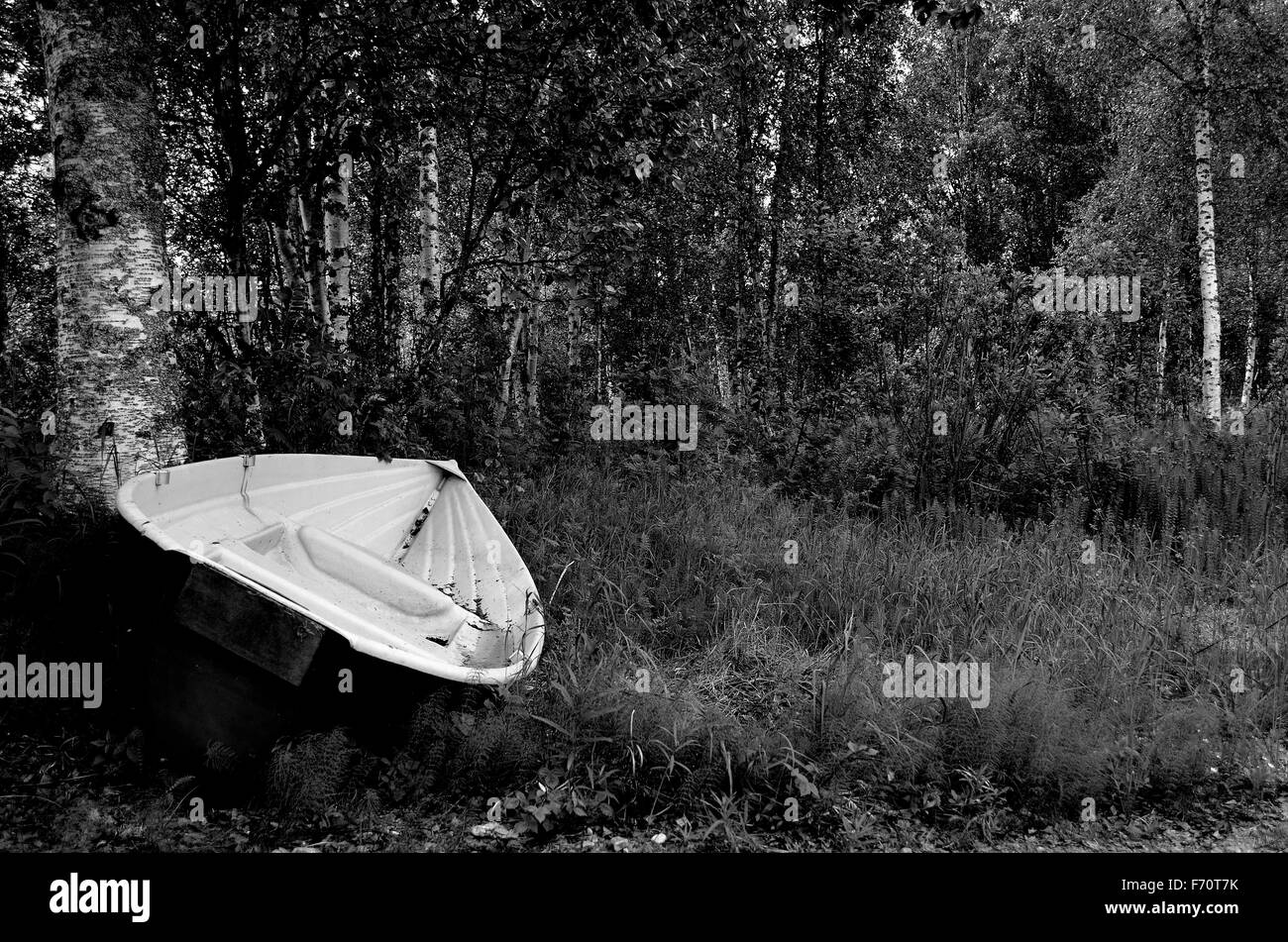 river boat in forest Stock Photo - Alamy