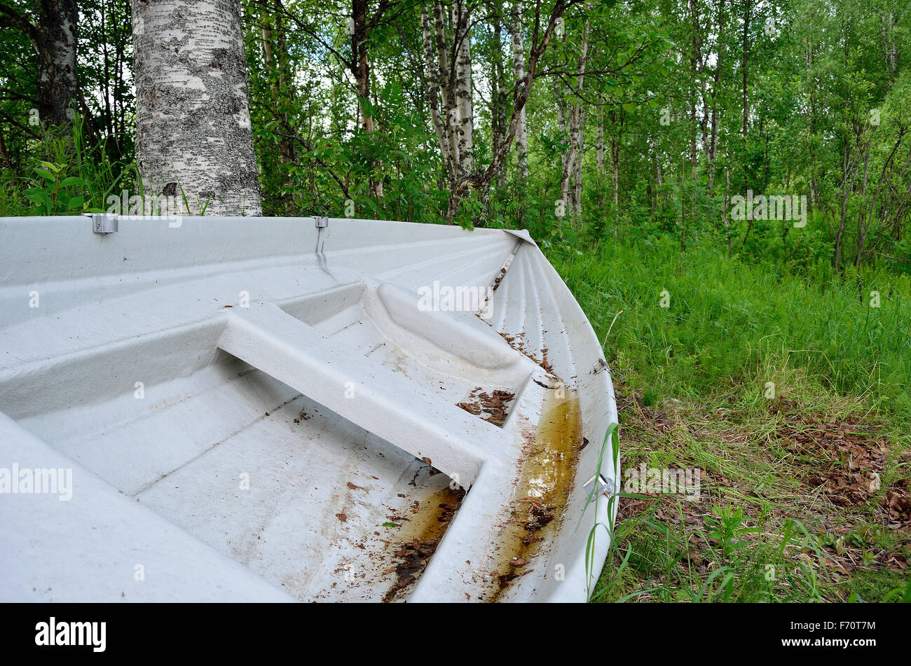river boat in forest Stock Photo - Alamy