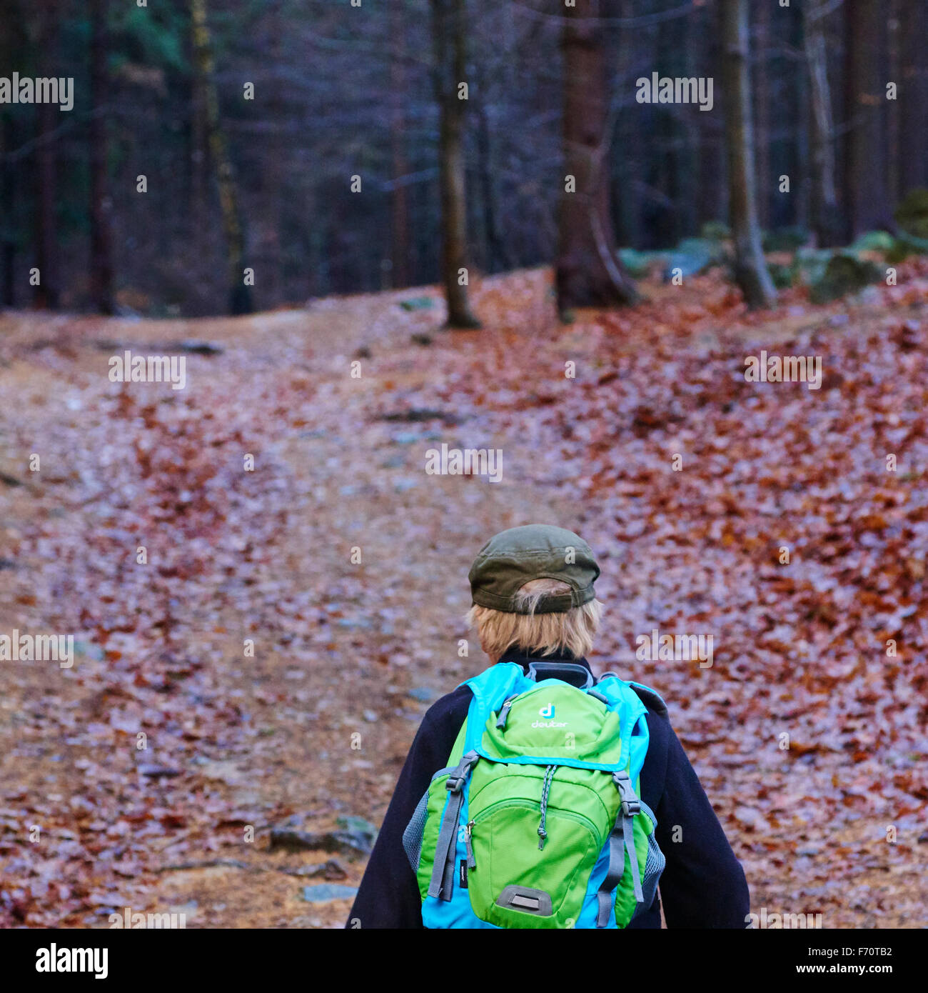 Full length portrait of a boy walking outdoor in a forest - wandering ...