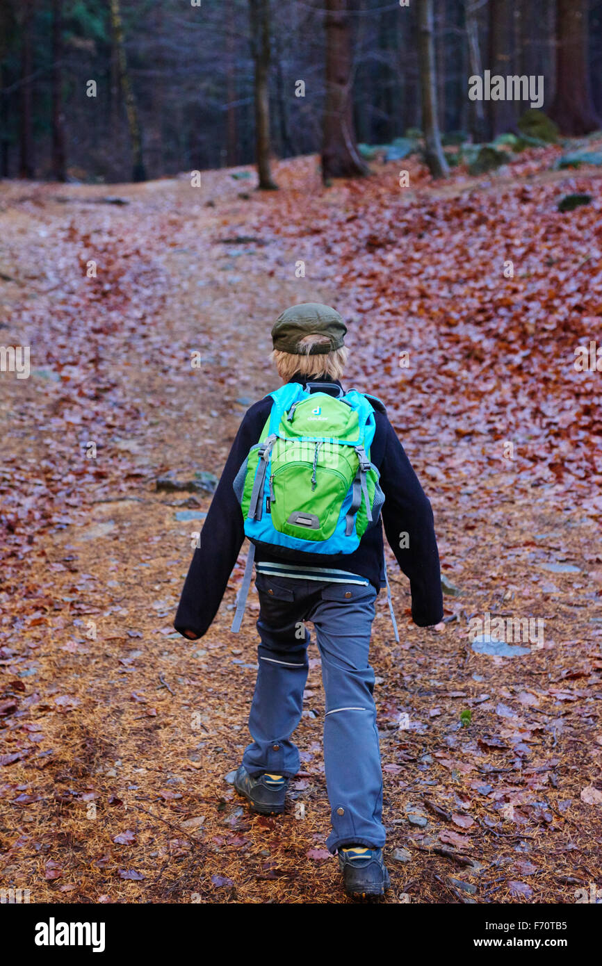 Full length portrait of a boy walking outdoor in a forest - wandering ...