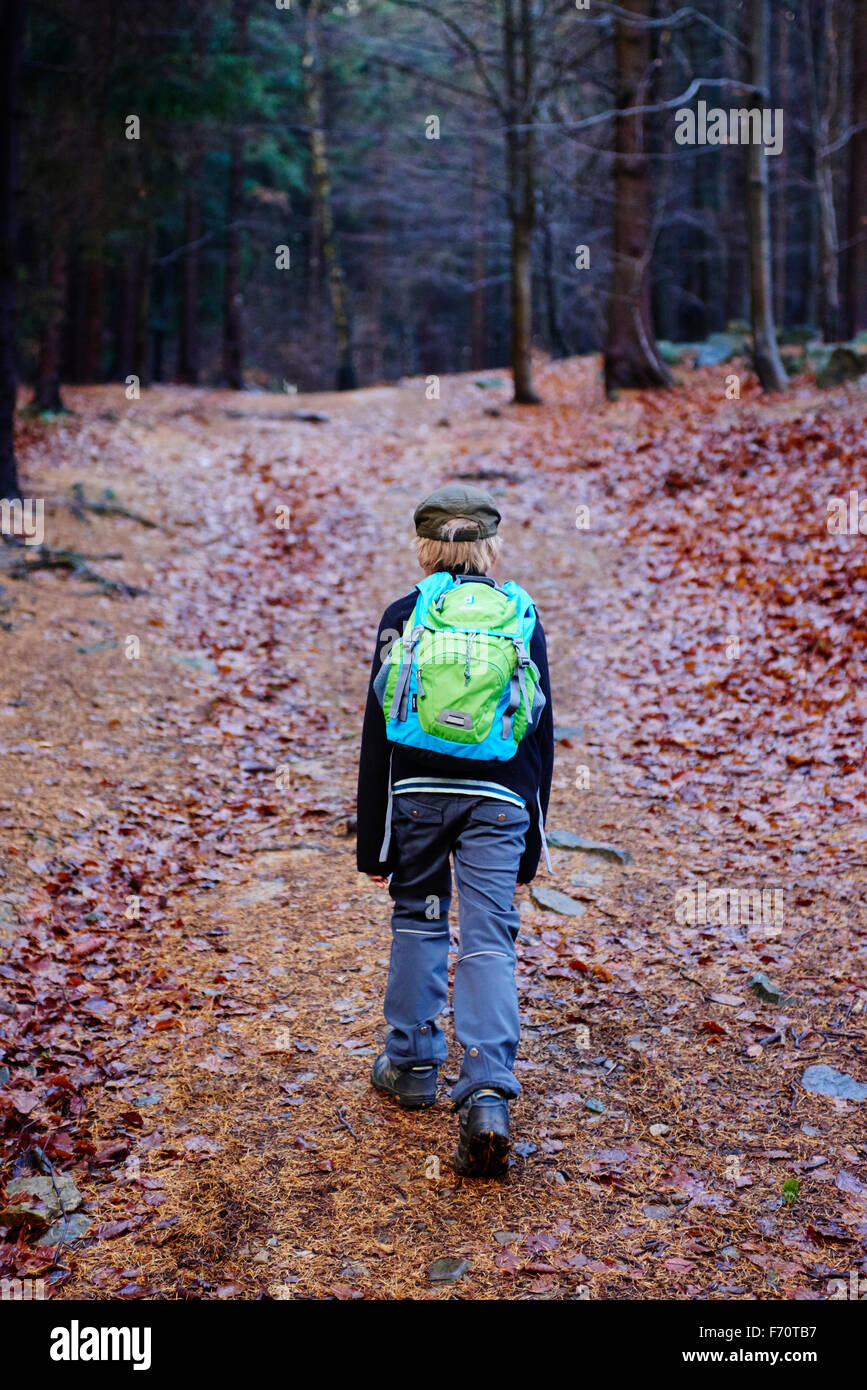 Full length portrait of a boy walking outdoor in a forest - wandering ...