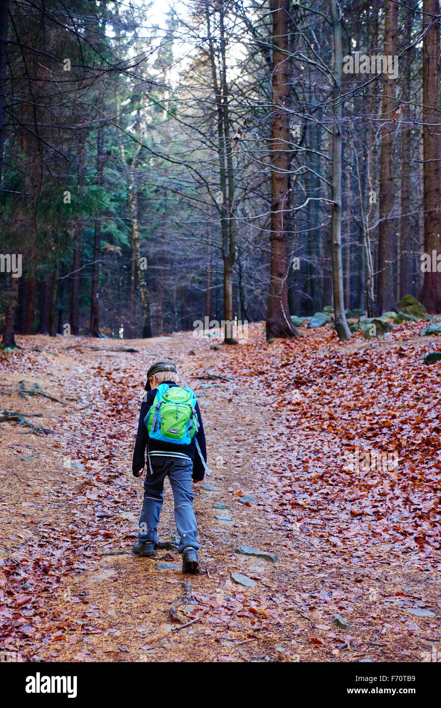 Full length portrait of a boy walking outdoor in a forest - wandering ...