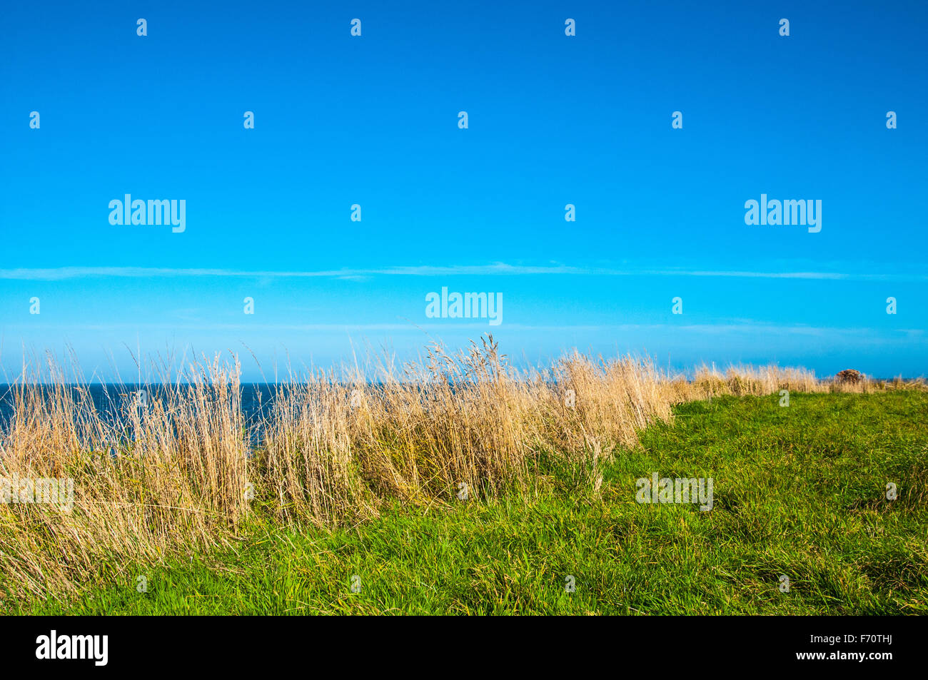 a walk through the Dunes Seahouses Northumberland by the coast Seascape ...