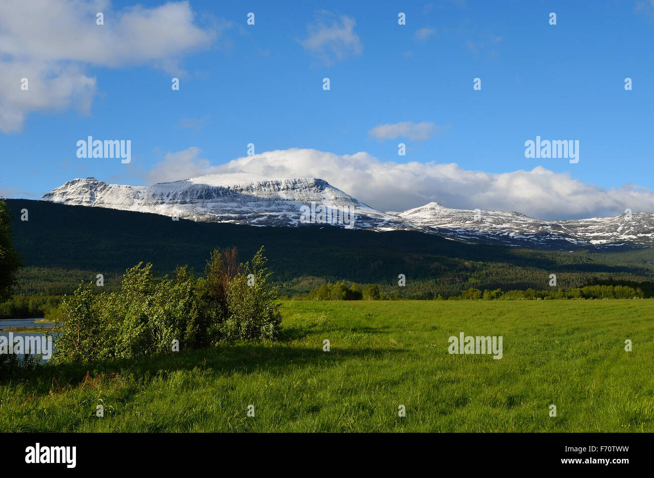 green pasture, snowy mountain and blue sky Stock Photo - Alamy