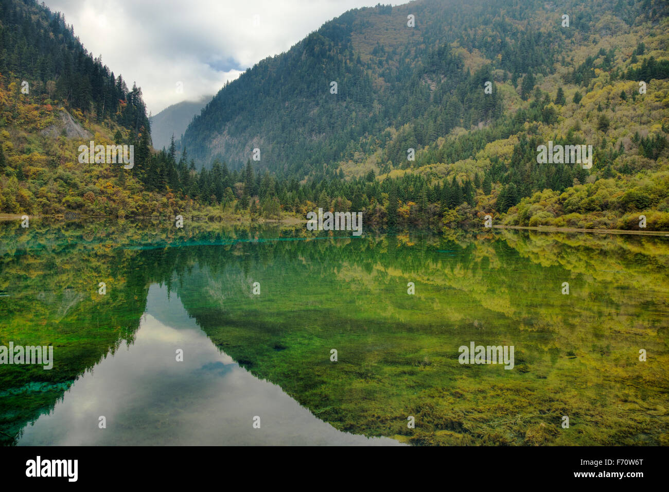 Multi-coloured Lake Reflection Jiuzhaigou National Park Sichuan, China ...