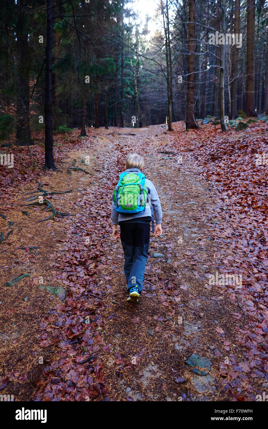 Full length portrait of a boy walking outdoor in a forest - wandering ...