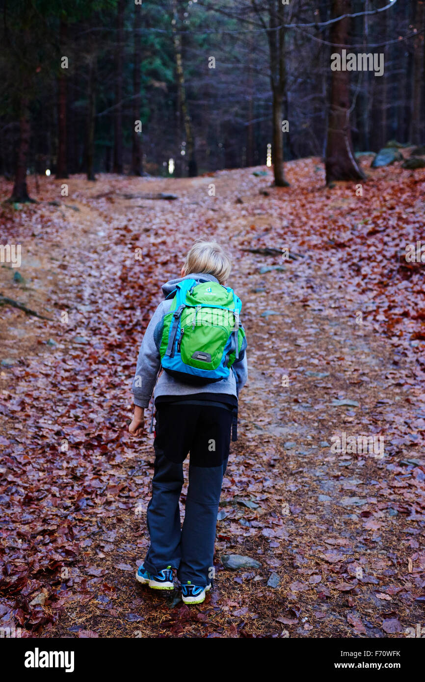 Full length portrait of a boy walking outdoor in a forest - wandering ...