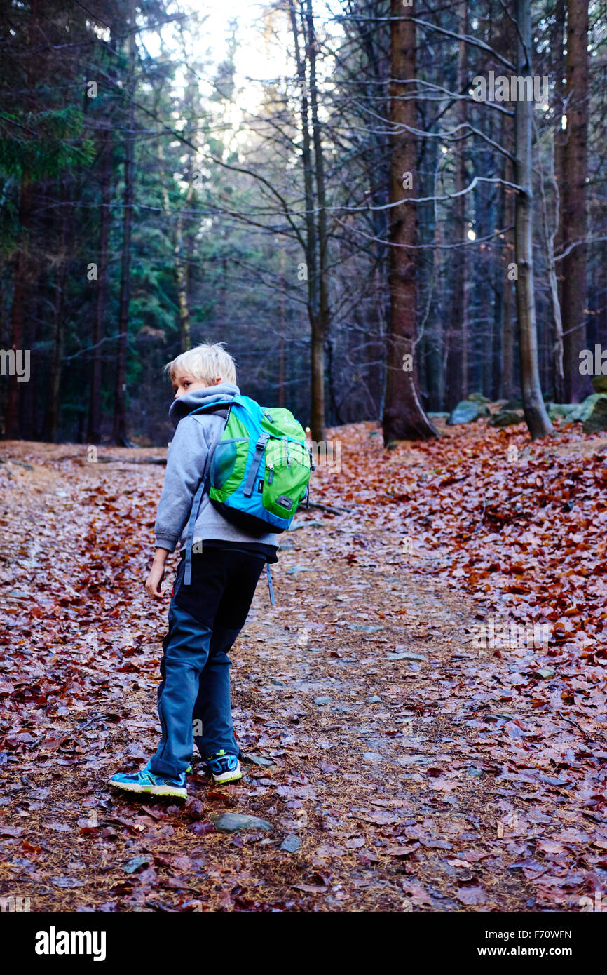 Full length portrait of a boy walking outdoor in a forest - wandering ...