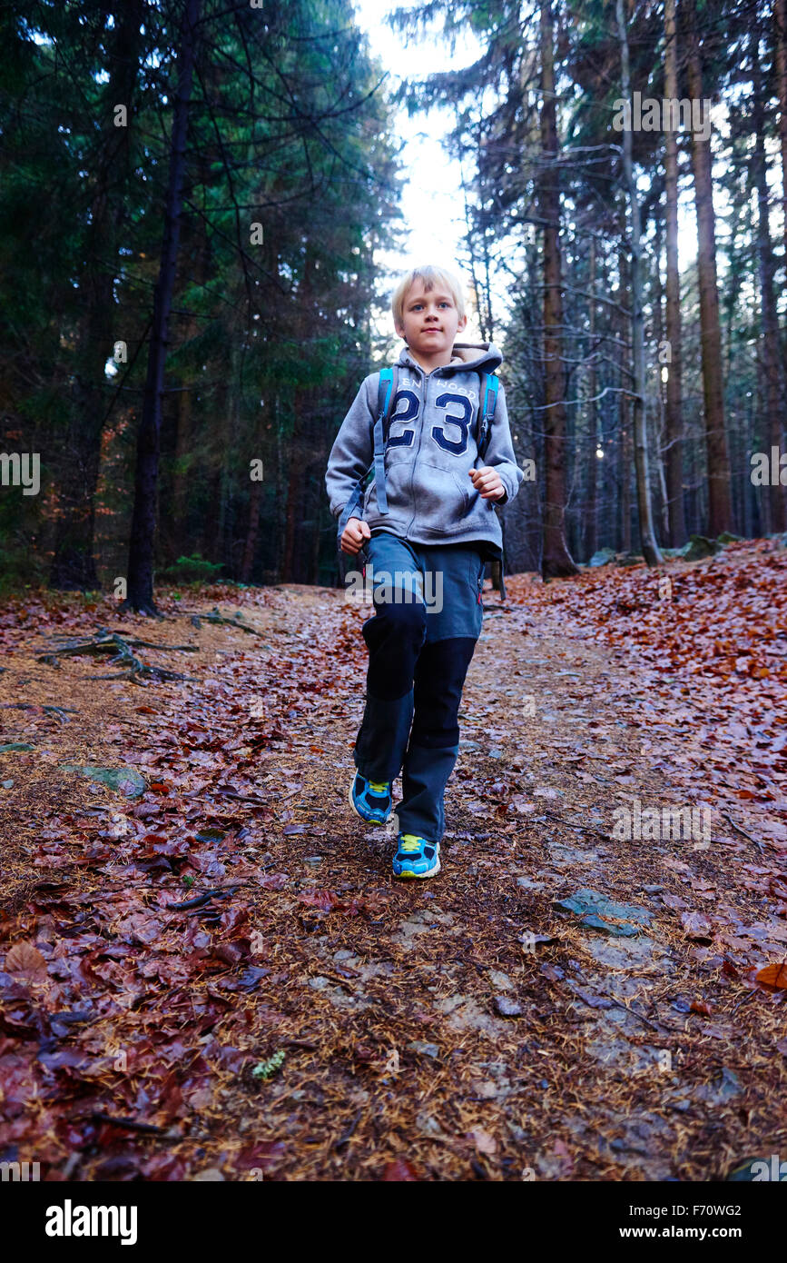 Full length portrait of a boy walking outdoor in a forest - wandering ...