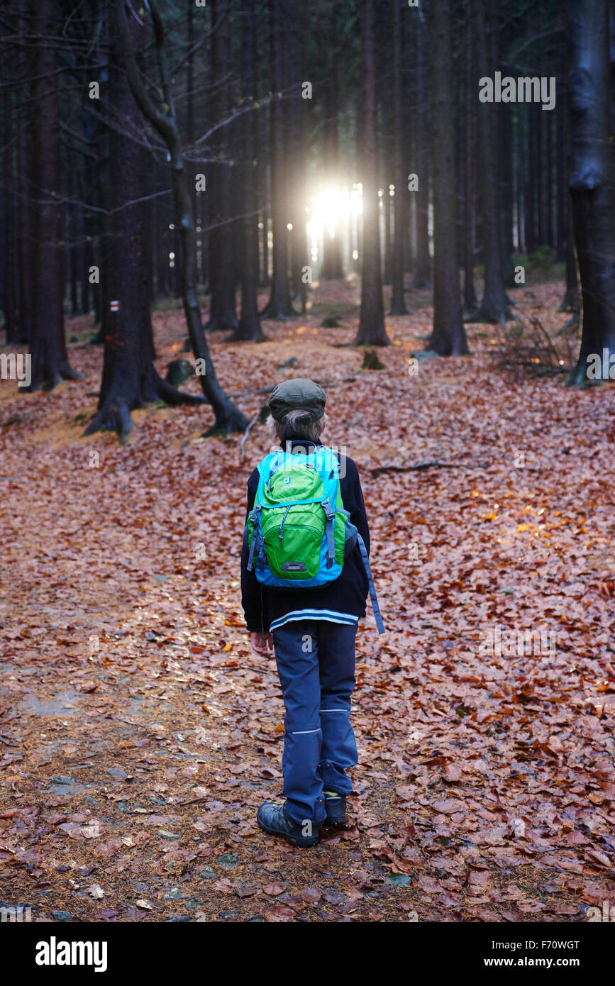 Full length portrait of a boy walking outdoor in a forest - wandering ...