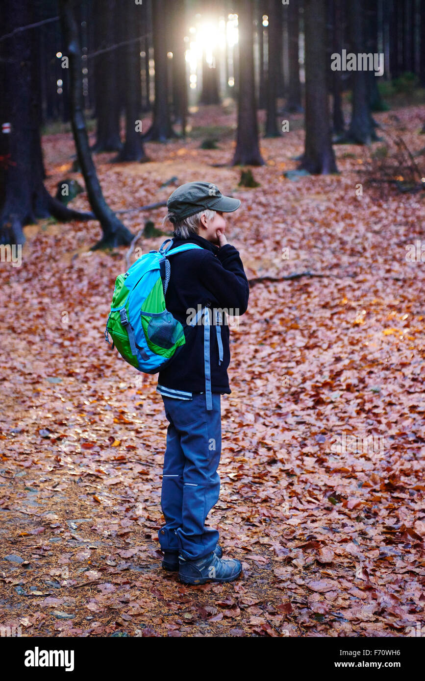 Full length portrait of a boy walking outdoor in a forest - wandering ...