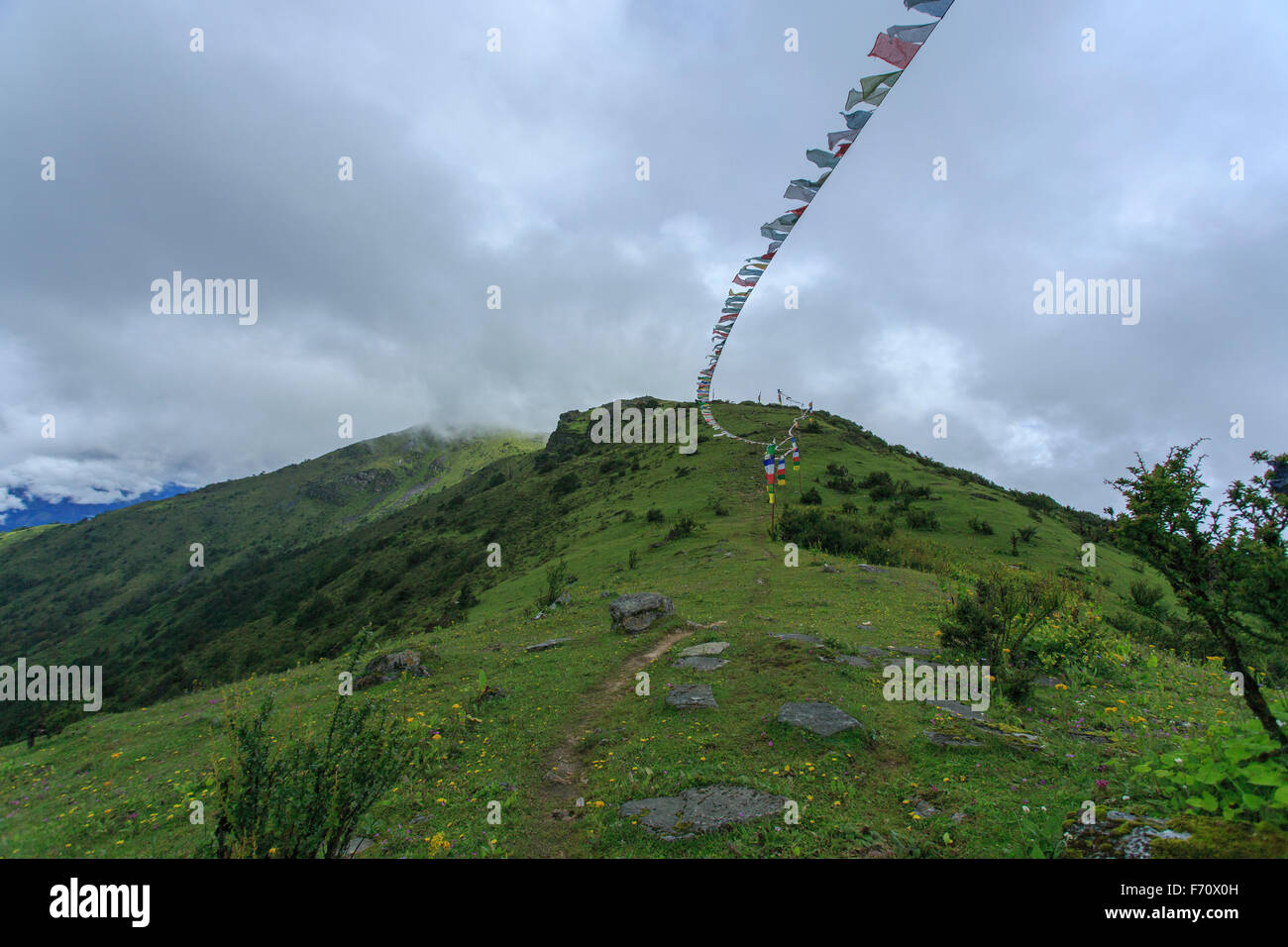 Chelela Pass, Bhutan Stock Photo - Alamy