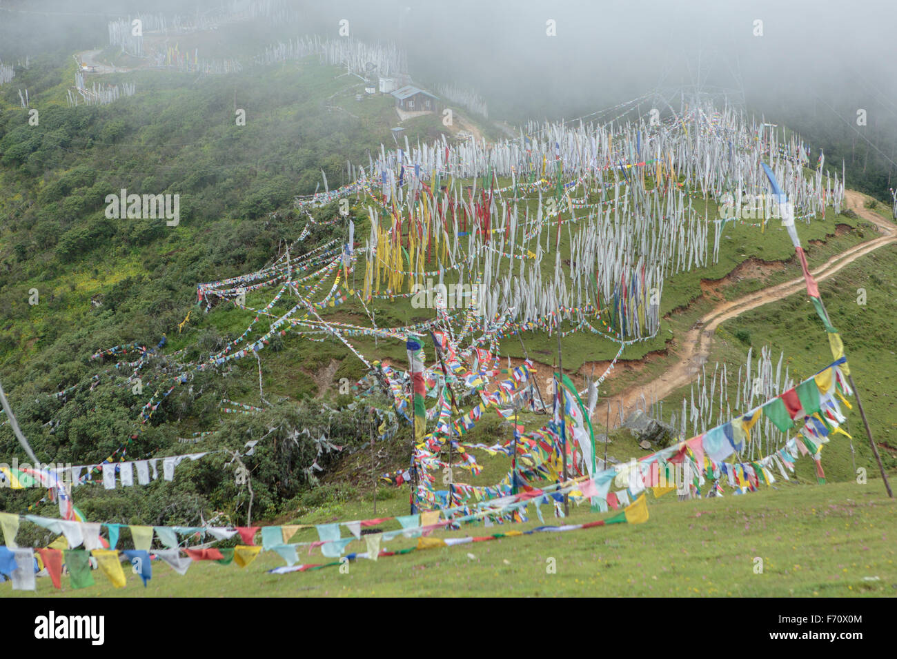Chelela Pass, Bhutan Stock Photo - Alamy