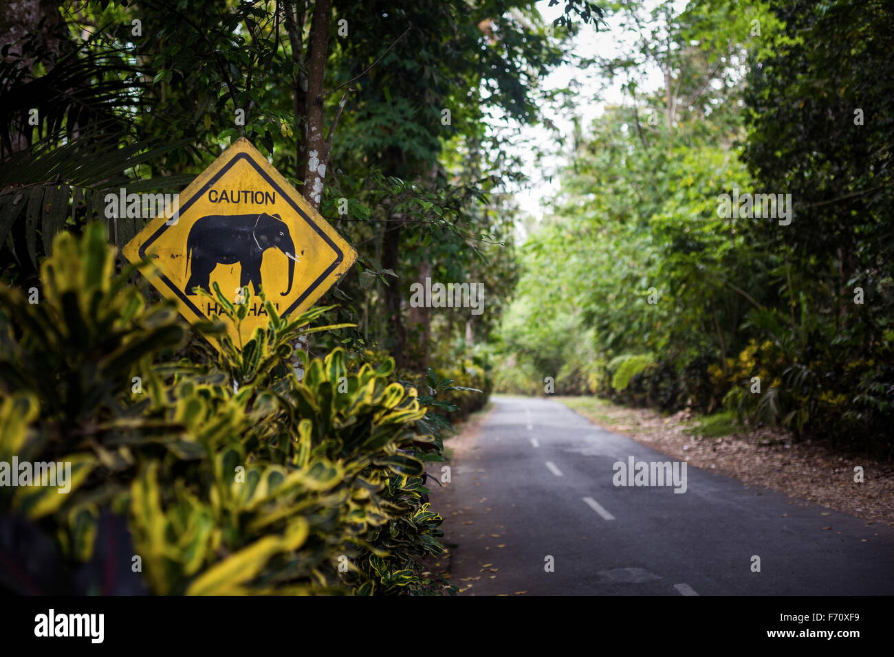 Traffic sign caution elephants hi-res stock photography and images - Alamy