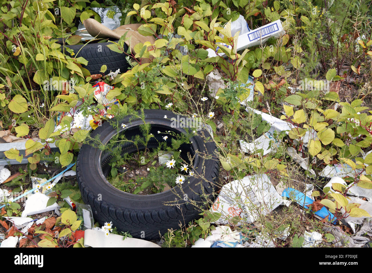 Litter dumped in the grass Stock Photo - Alamy