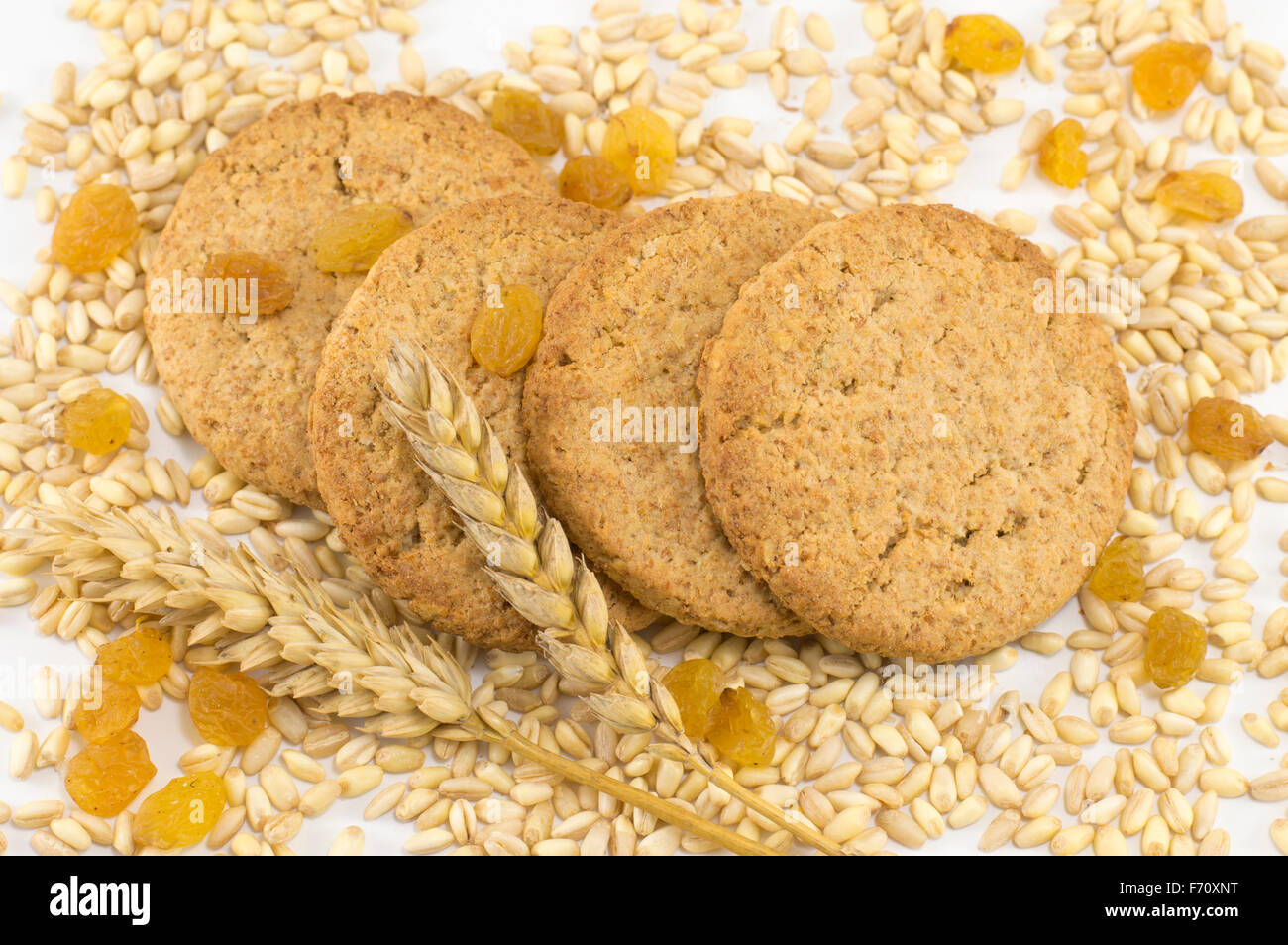 Integral cookies with raisins and yellow wheat plant on white ...
