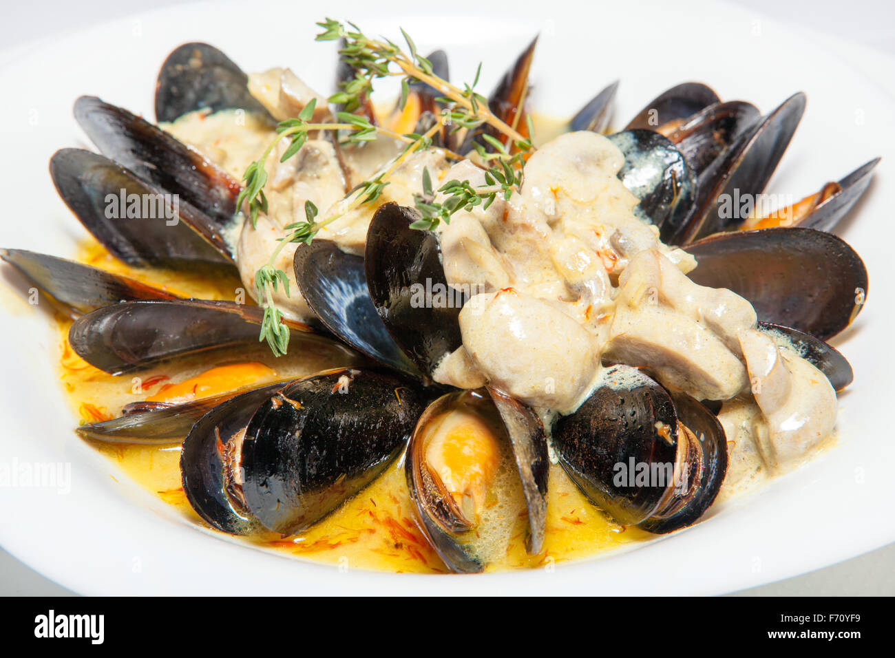 dishes for the restaurant, the second and the first dish menu ...