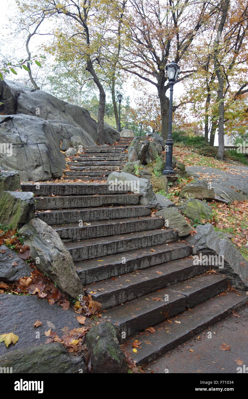 Steps, Central Park, New York City, New York, USA Stock Photo - Alamy
