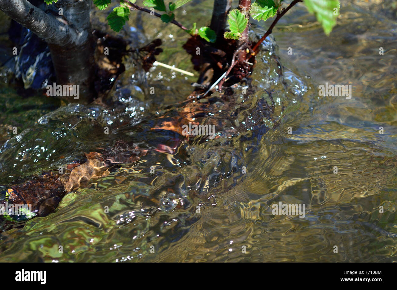 water flowing over small tree trunk Stock Photo - Alamy
