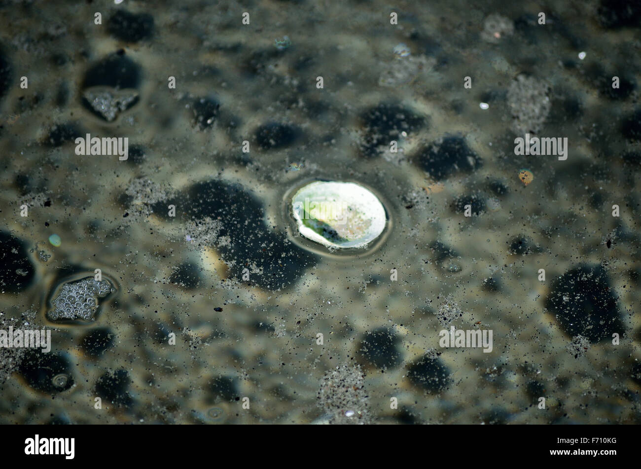 floating sand on fjord surface as high tide is coming in with a white ...