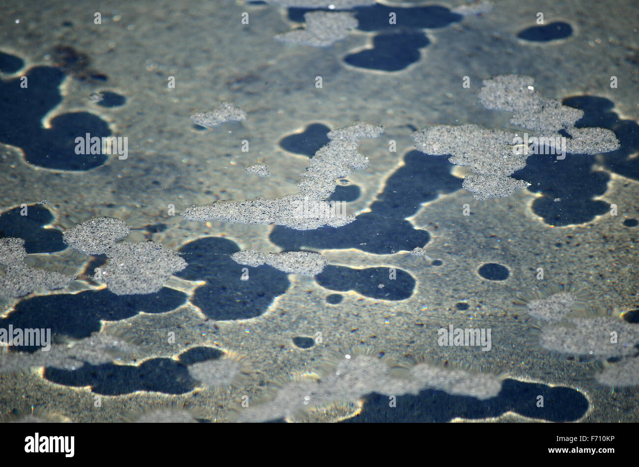 floating sand on fjord surface as high tide is coming in Stock Photo ...