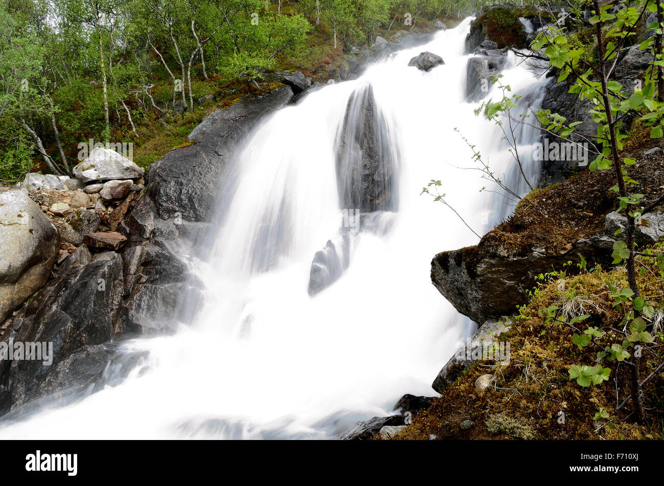 dreamy forest mountain waterfall Stock Photo - Alamy