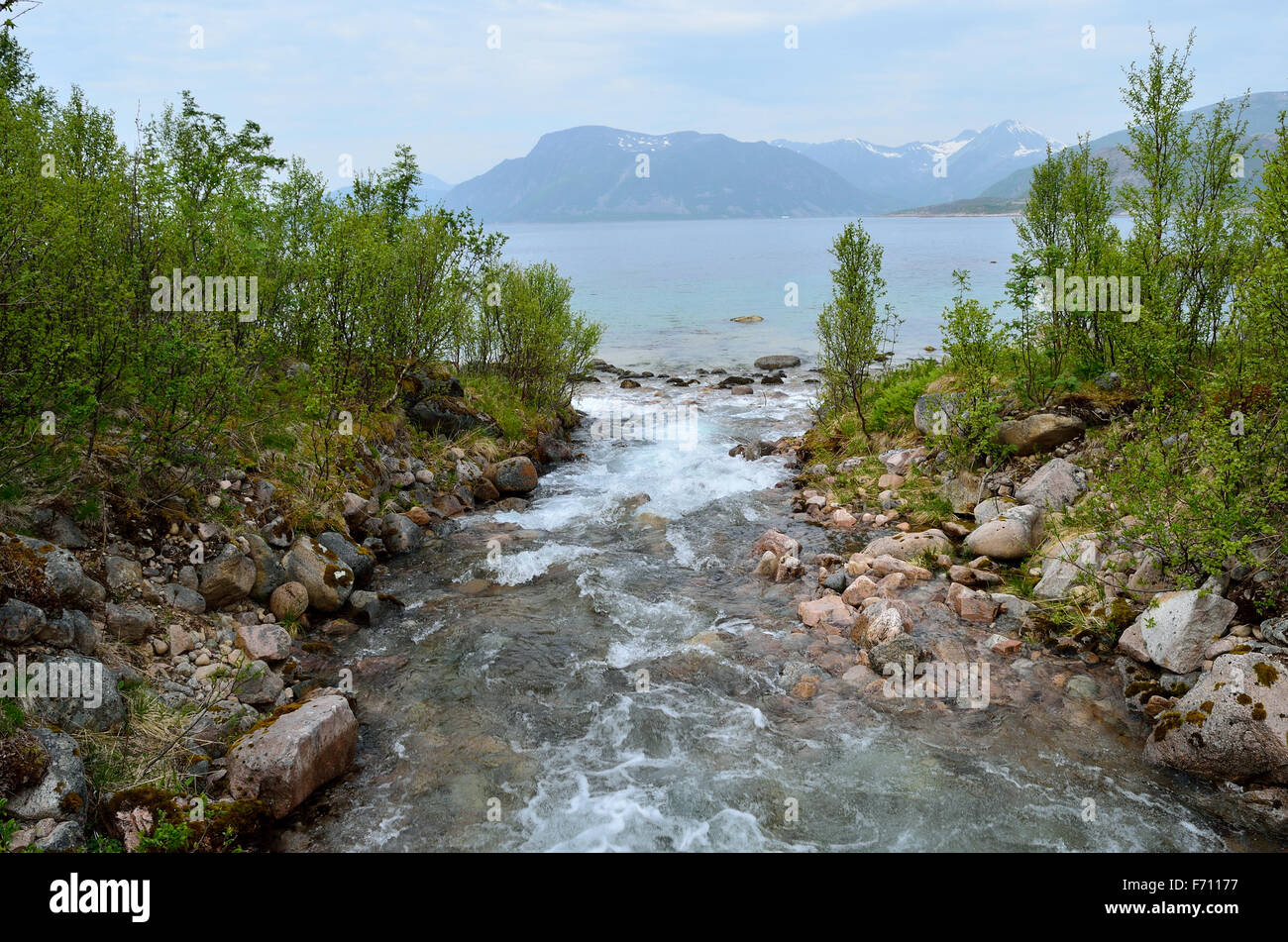 mountain river streaming into sea with mountain background on the ...