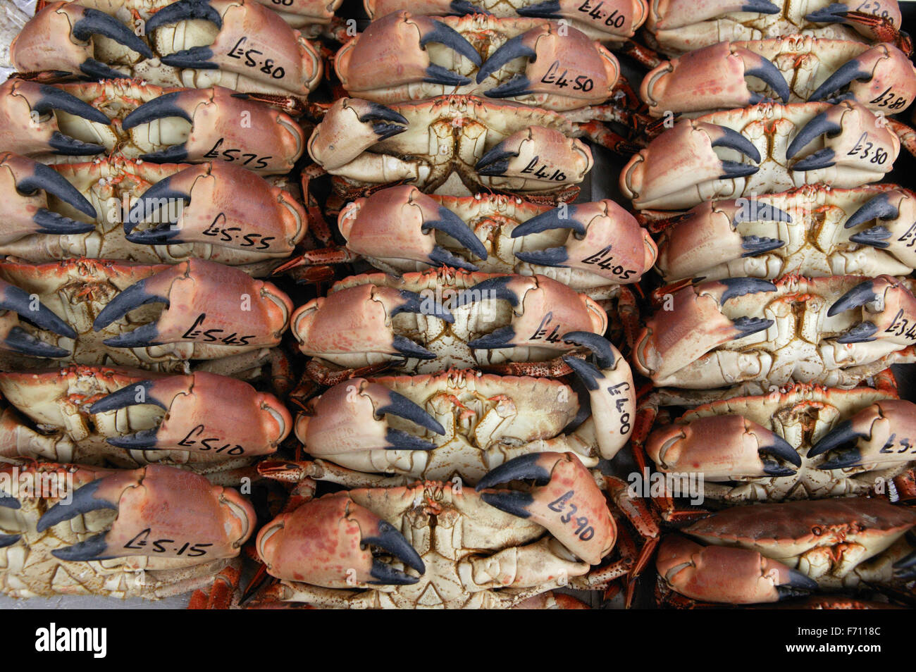 Fish shop display of crabs hi-res stock photography and images - Alamy