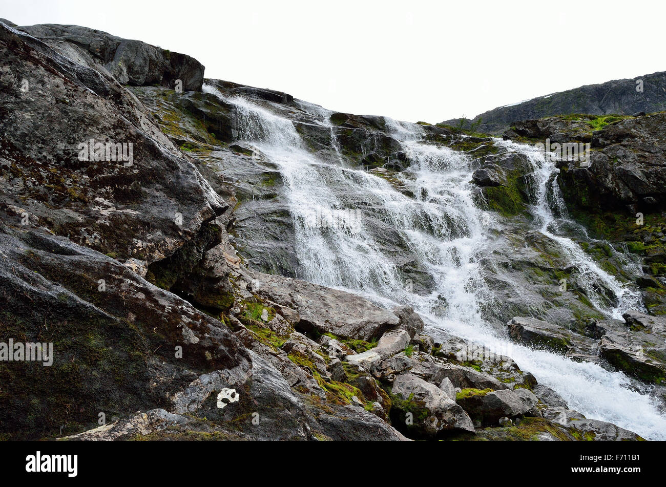 clean fresh water stream running down mountain side in summer landscape ...