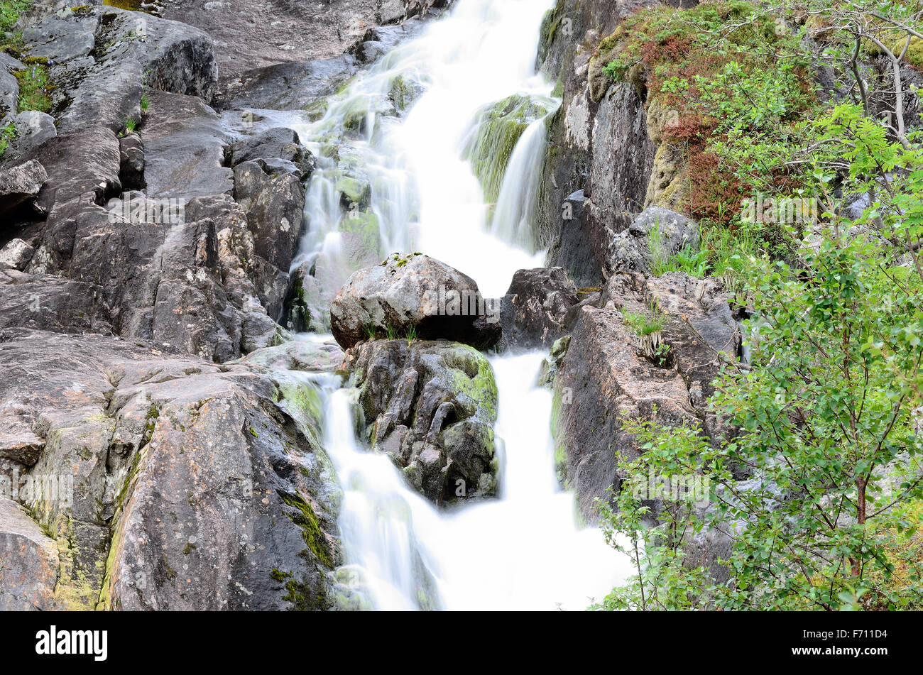 majestic small fresh water stream on mountain in summer Stock Photo - Alamy