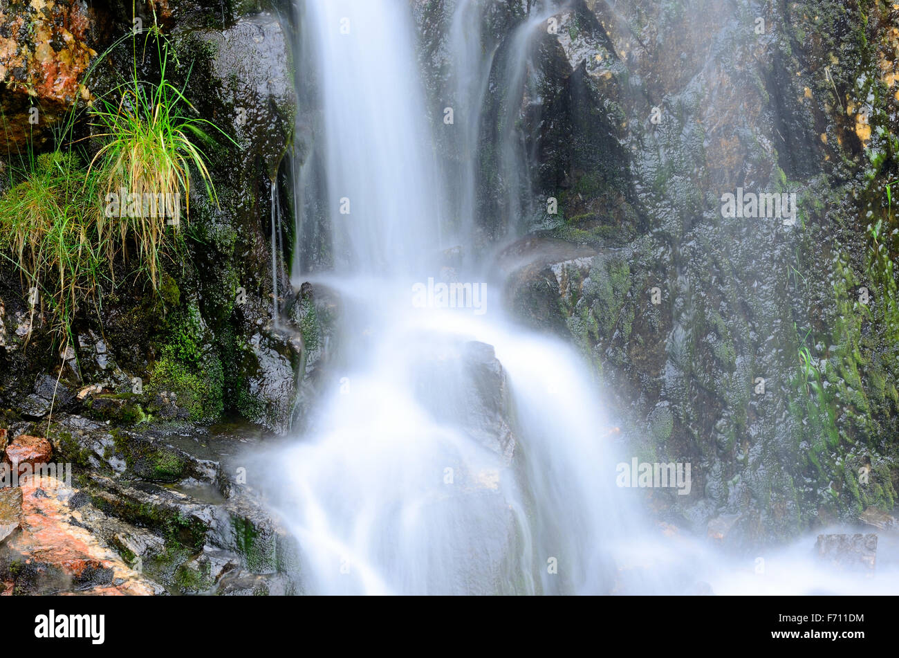 small beautiful fresh water mountainn creek waterfall in summer Stock ...