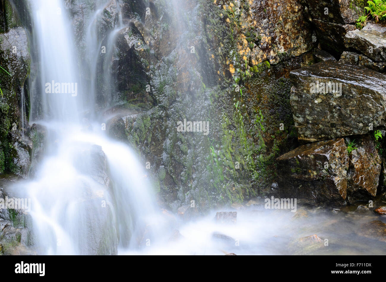 small beautiful fresh water mountainn creek waterfall in summer Stock ...