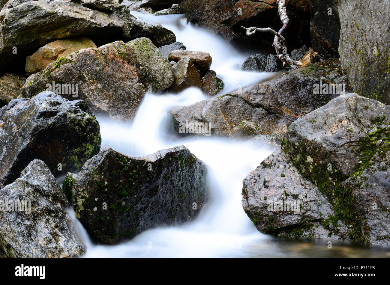 beautiful serene fresh water mountain stream in summer nature Stock ...