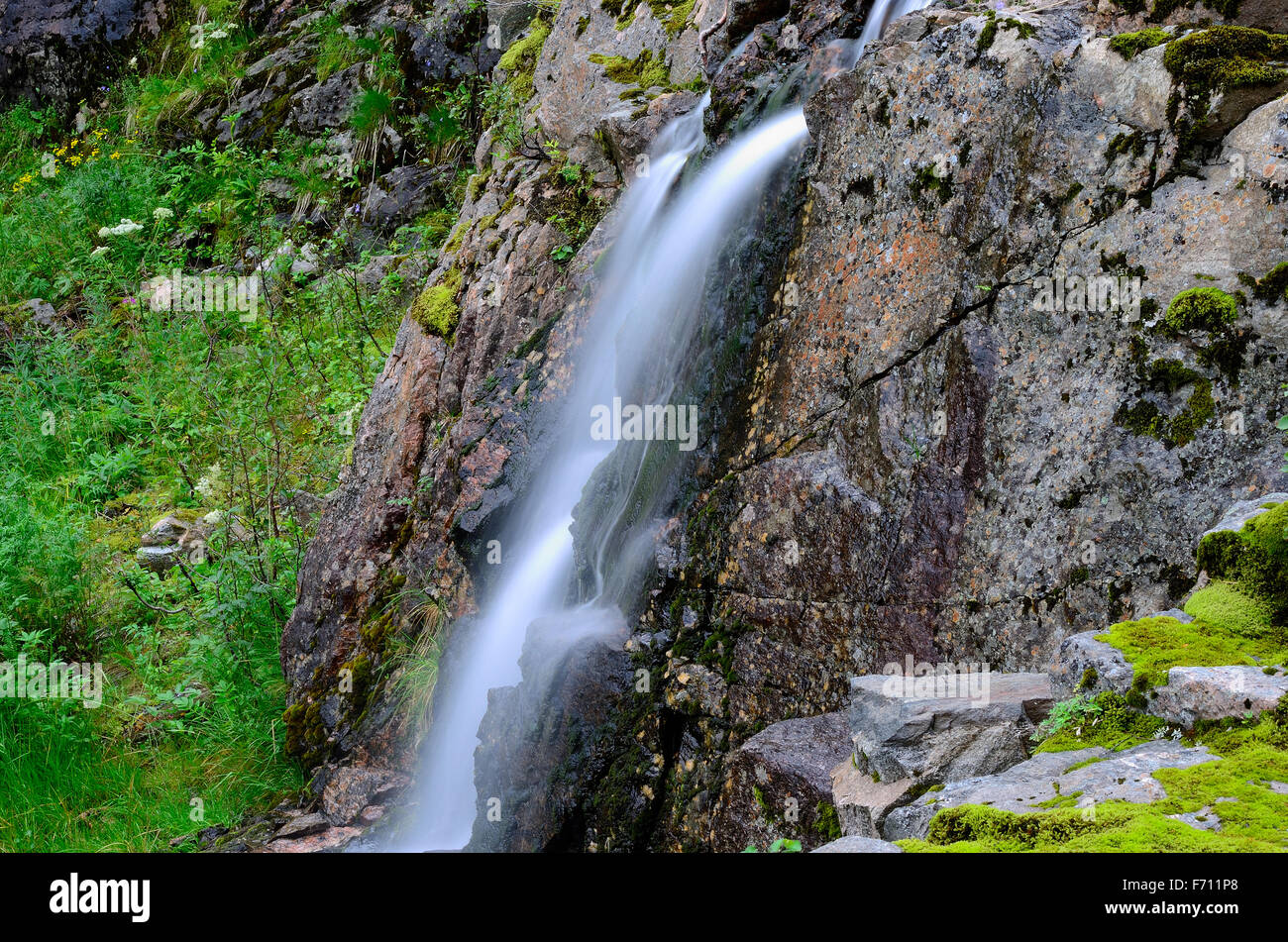 beautiful serene fresh water mountain stream in summer nature Stock ...