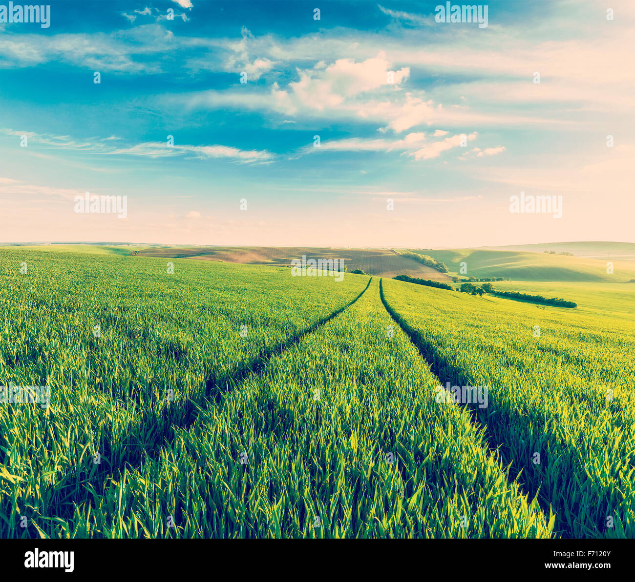 Green fields of Moravia Stock Photo - Alamy